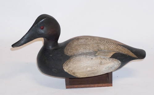 Ward Brothers Duck Print