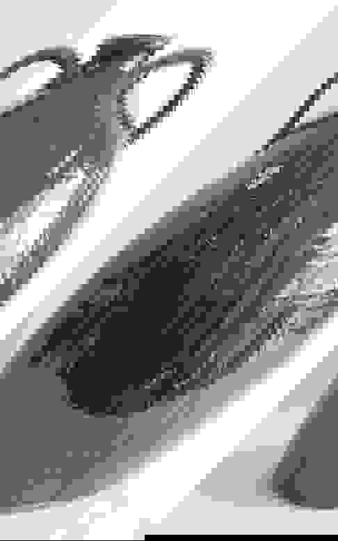 Handsome Southern Stoneware Two Handled Jug Auction