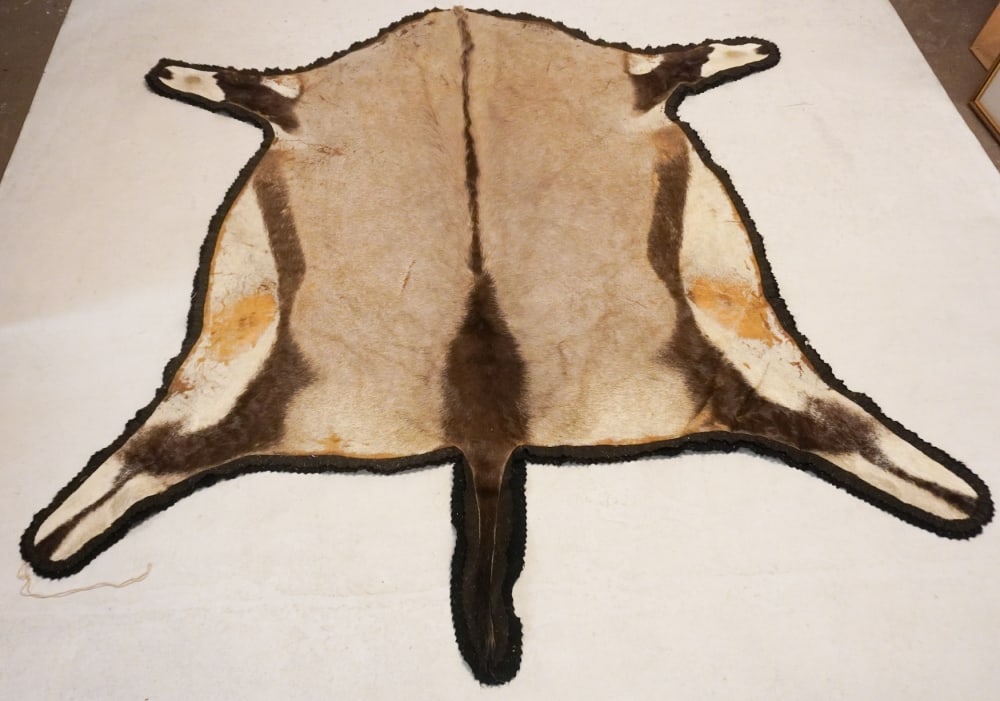 Excellent Vintage African Gemsbok Taxidermy Rug - Jun 21, 2025 | Wooten ...