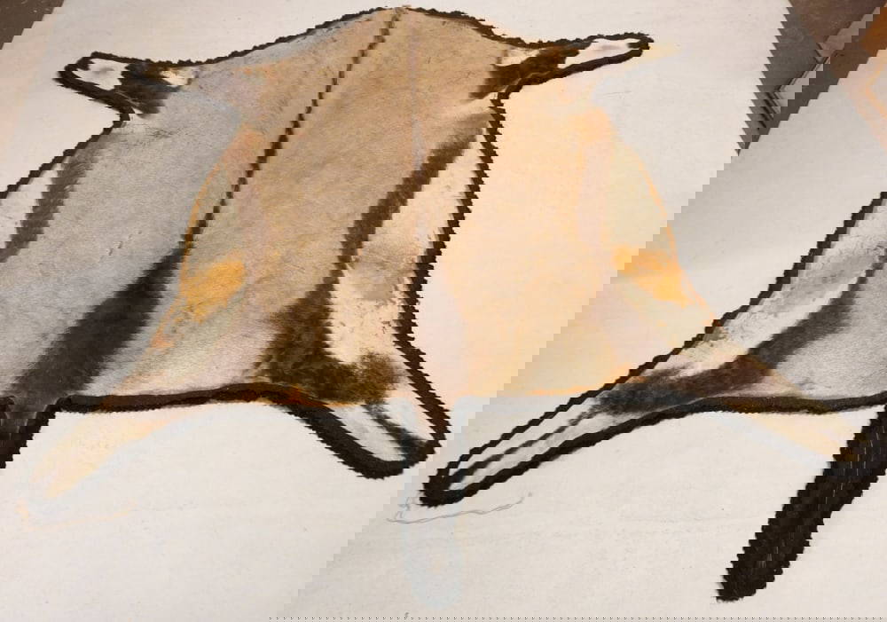 Excellent Vintage African Gemsbok Taxidermy Rug - Jun 21, 2025 | Wooten ...