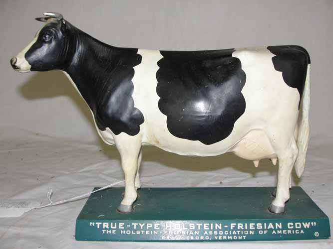 True Type Holstein Friesian Cow Advertising