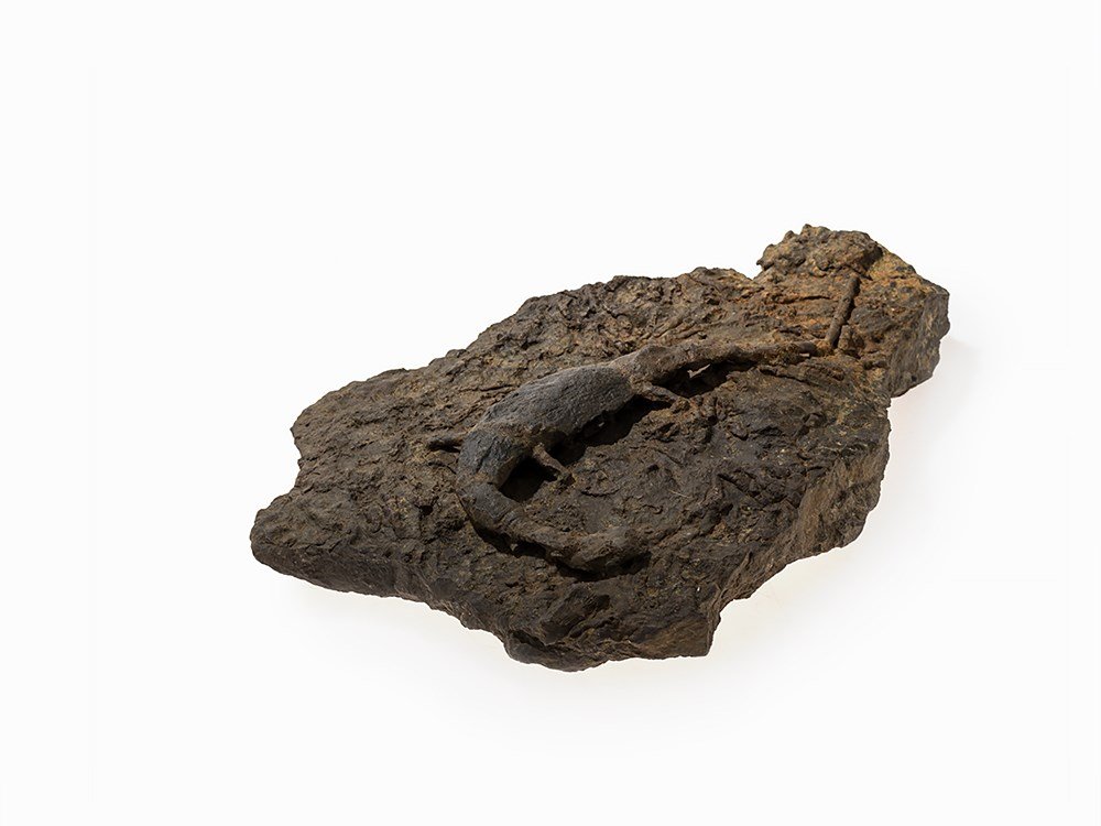 Jehol Biota Fossil, North China, Cretaceous Period, c.