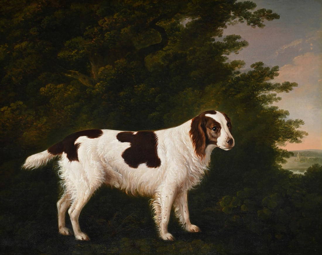 John Boultbee (british 1752 - 1812), Portrait Of A Water Spaniel In A ...