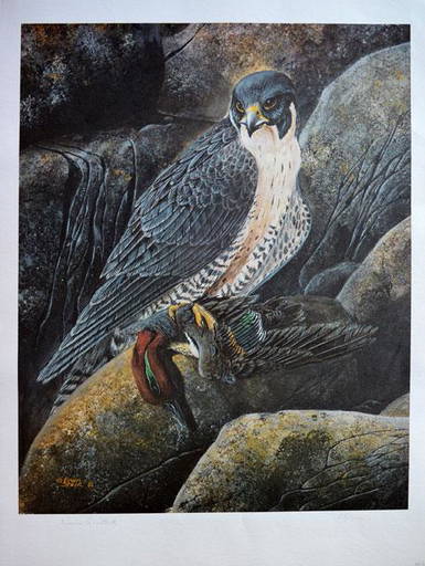 Stock **feeding Time** Lithograph