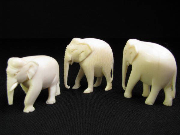 Three Miniature Carved Ivory Elephants