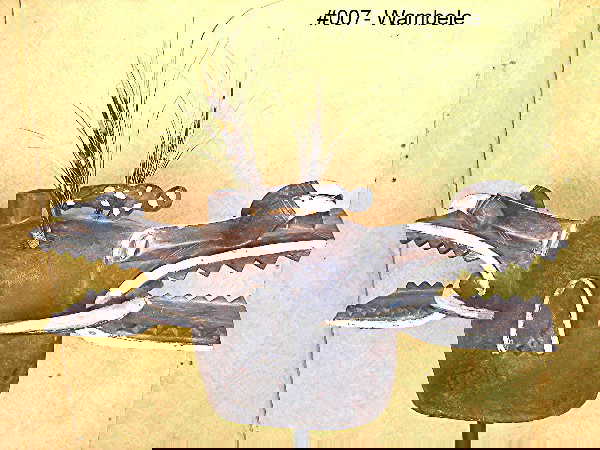 803: WAMBELE MASK FROM THE SENUFO TRIBE IVORY COAST