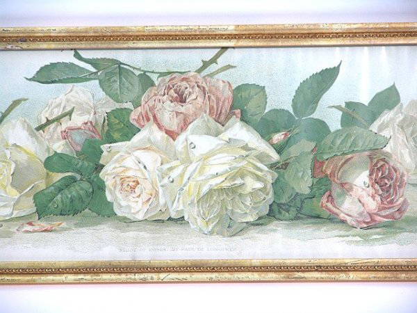 1895 Yard Long Of Roses By Paul De Longpre