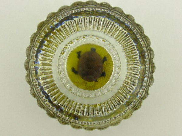 GILLINDER MOVING TURTLE PAPERWEIGHT CIRCA 1861