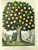 1872 CURRIER & IVES TREE OF TEMPERANCE LITHOGRAPH - Aug 30, 2009 ...