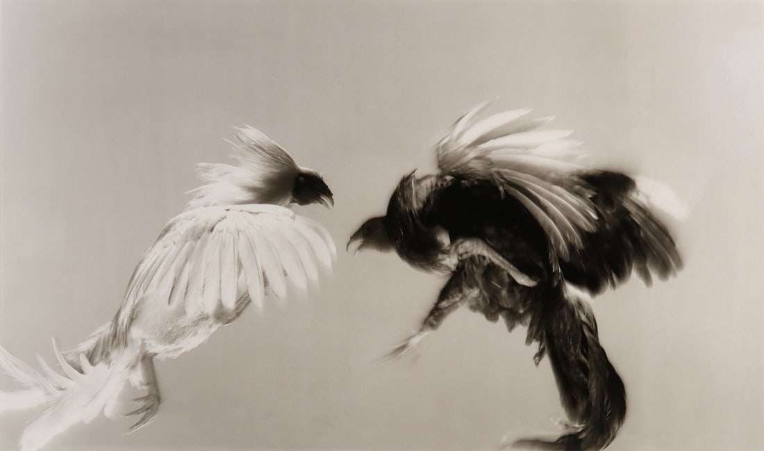 Pub Penthouse 1988 Debra Murphree 20x16 Silver Gelatin