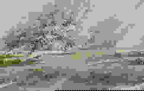 Carl Weber (1849-1922) Pastoral Scene Watercolor Auction