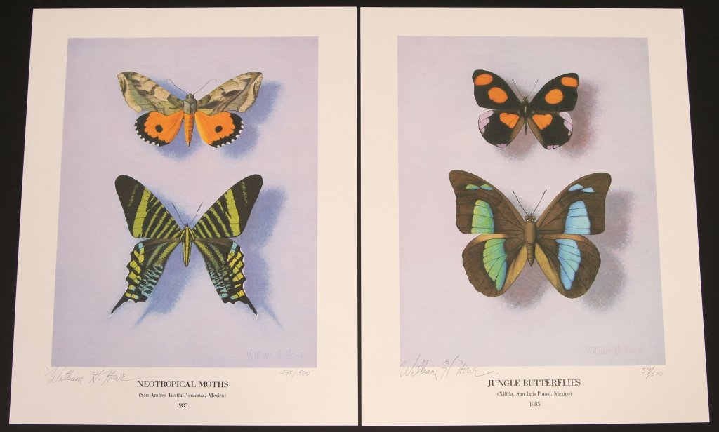 William H. Howe (1928 2009) Signed Butterfly Prints