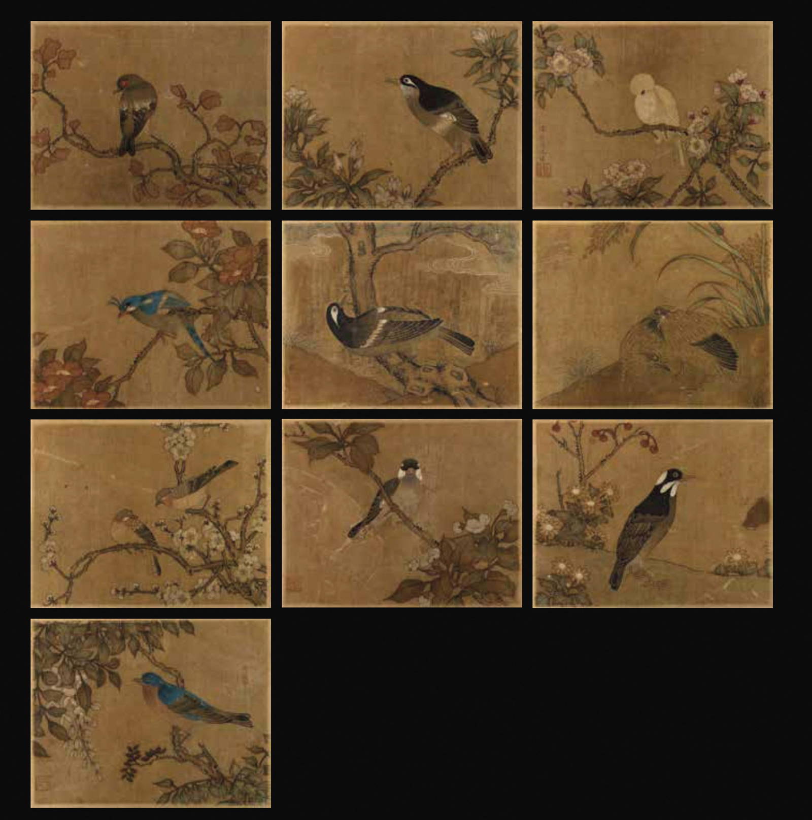 Album With Inscription ‘jiang Tingxi - The Colour Book Of Flowers And ...