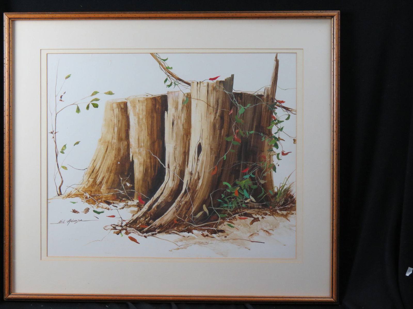 Neil H. Adamson, Watercolor, Tree Stump, Listed Artist, Image Area 22 ...