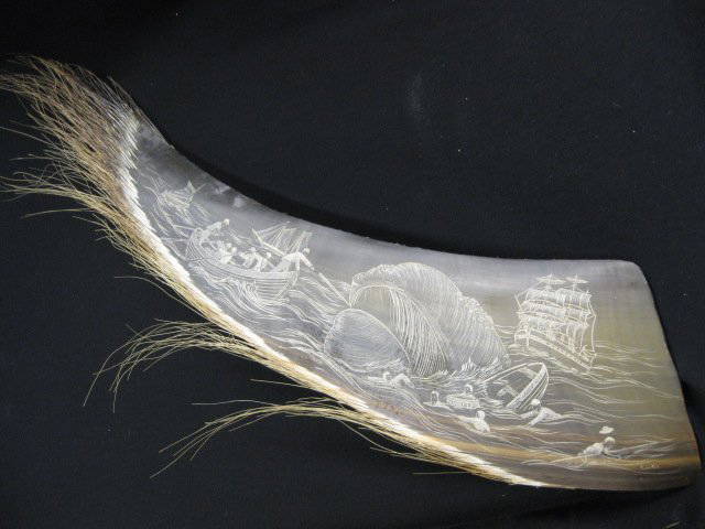 Carved Whale Baleen,