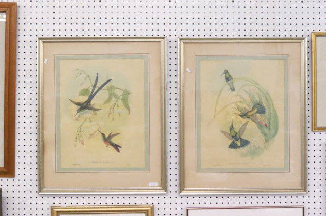 Pair Of J. Gould & H.c. Richter Lithographs,