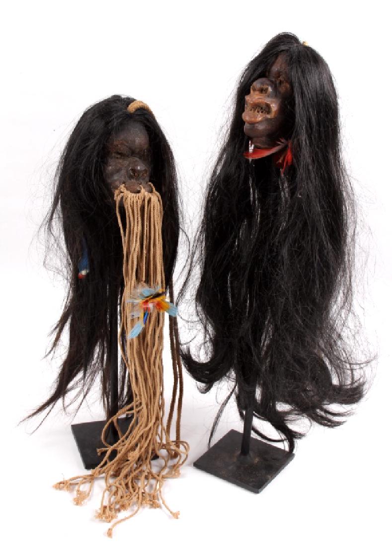 Two Shrunken Heads--Tsantsas On Display Stands