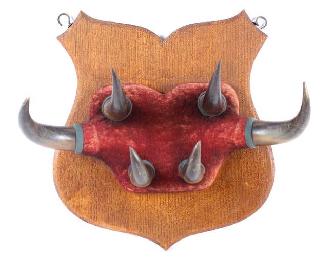 Trophy Buffalo Horn Hat Rack