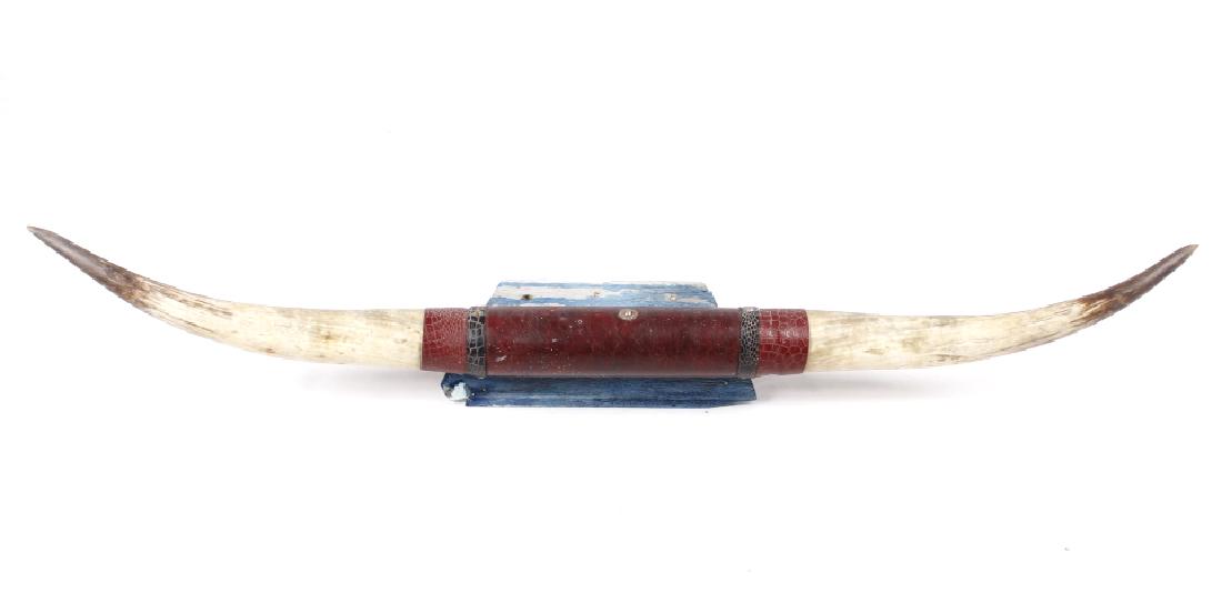 Leather Clad Mounted Steer Horn Display