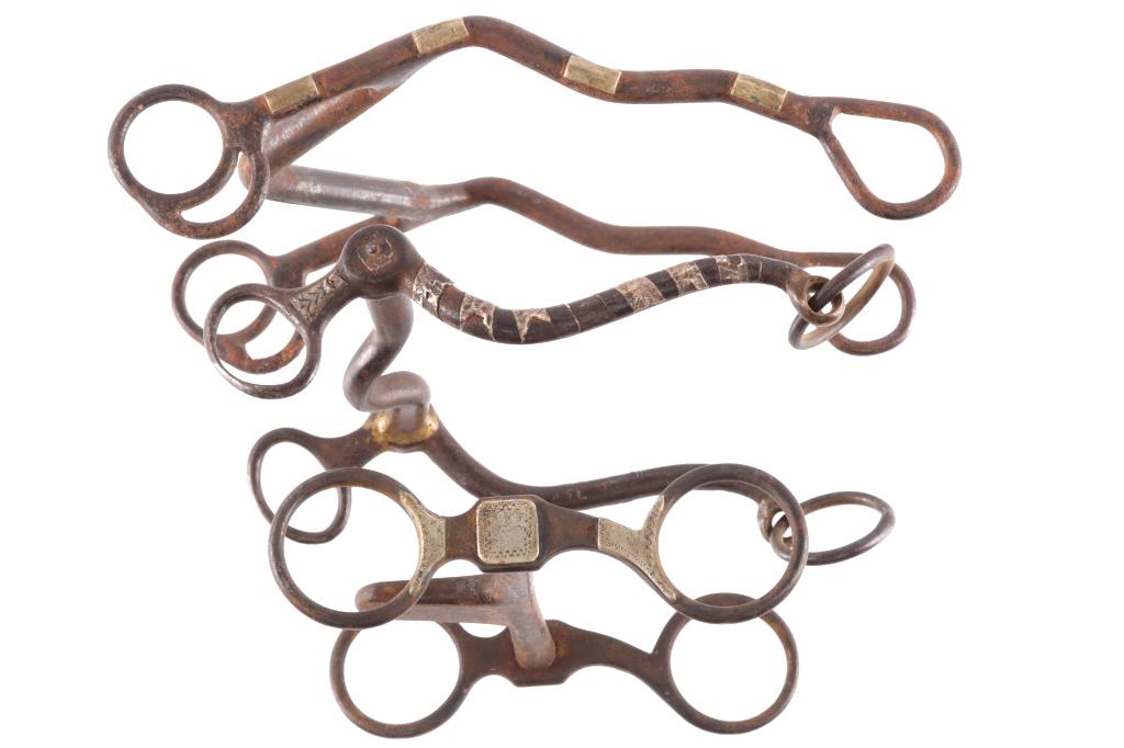 Silver Mounted Bridle Bit Collection C Early 1900s