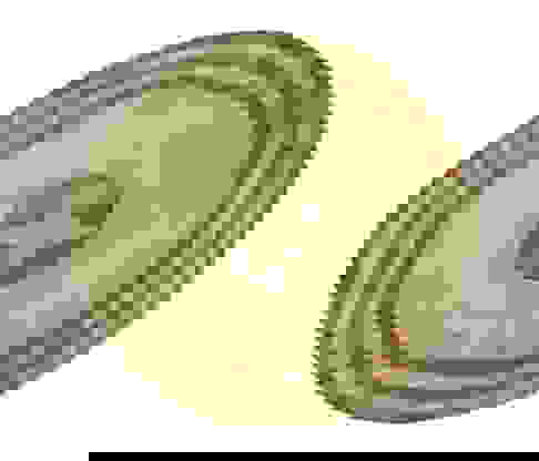 Southern Cheyenne "chief Killer" Shield Ex-museum Auction