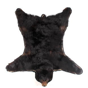 Montana Black Bear Double Mounted Taxidermy Rug