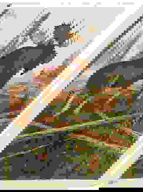 Doug Allen (b. 1935) Auction