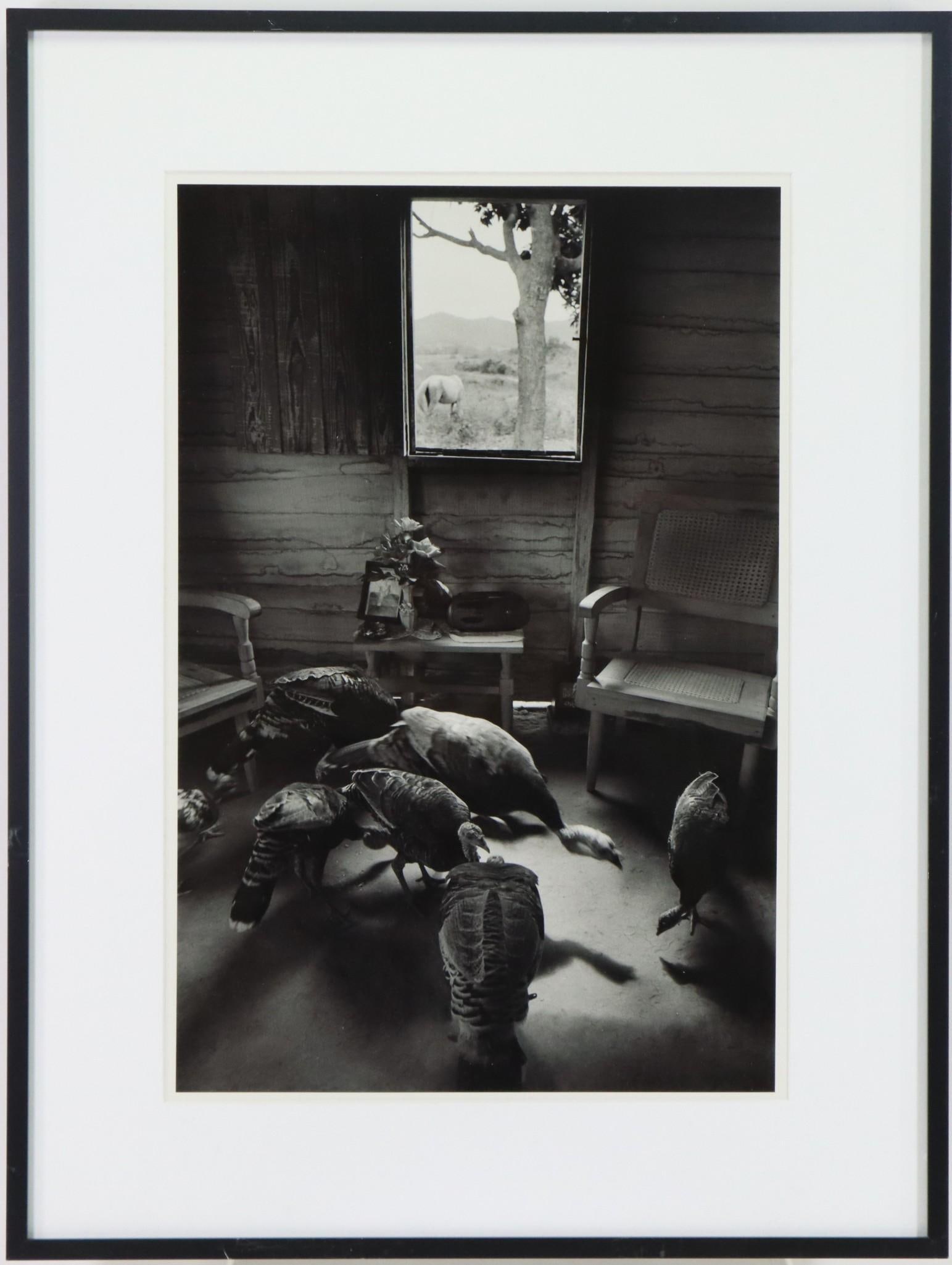 Susan Bank (b. 1938) Auction