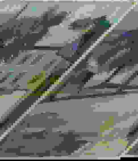 Della J. Barber (1878 - 1951) Auction