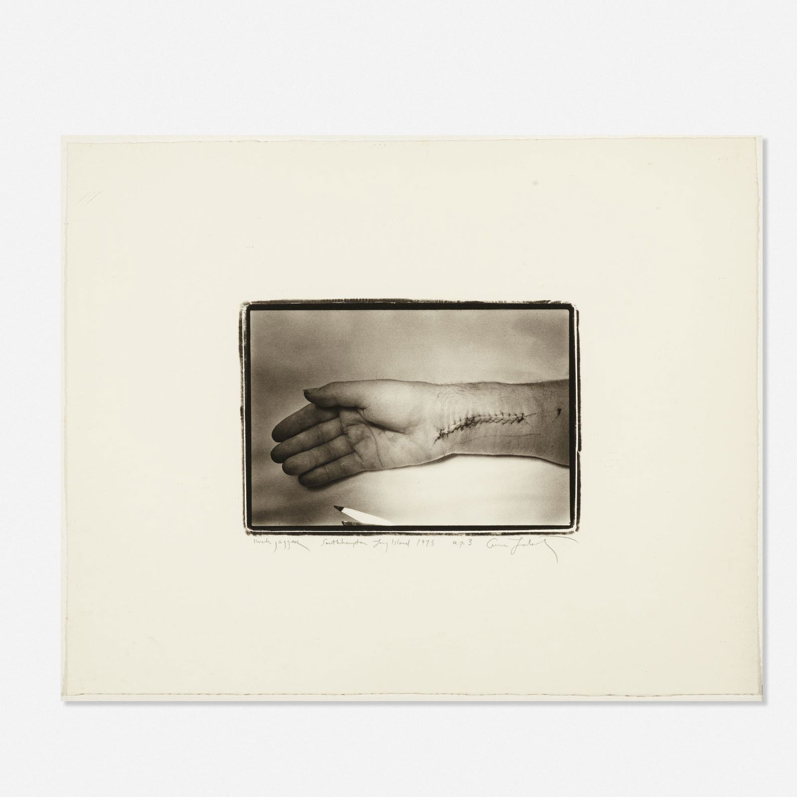 Annie Leibovitz, Mick Jagger, Southampton, Long Island - May 20, 2020 ...