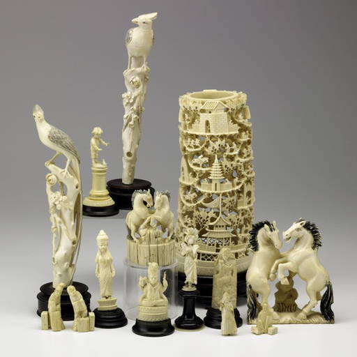 Asian Ivory