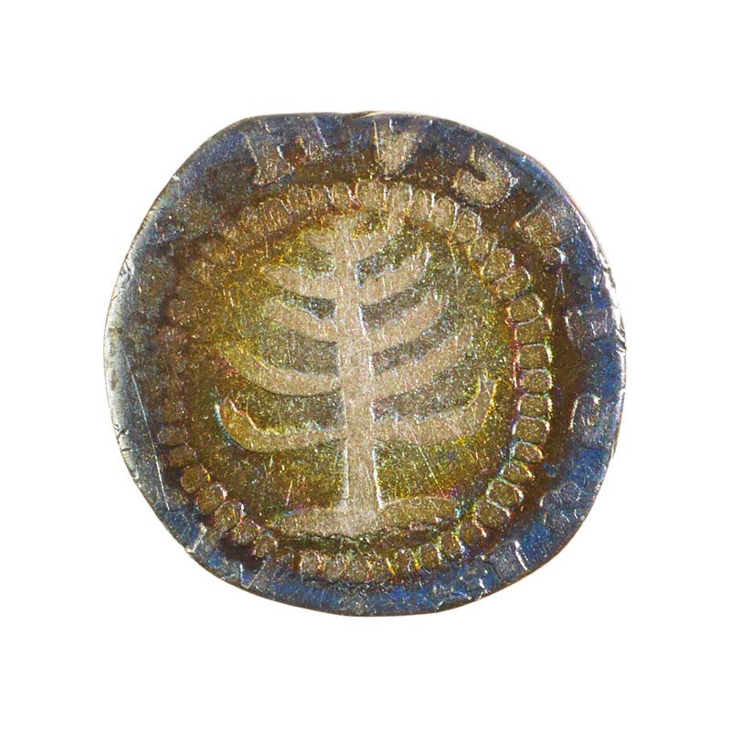 1652 Massachusetts Pine Tree Shilling