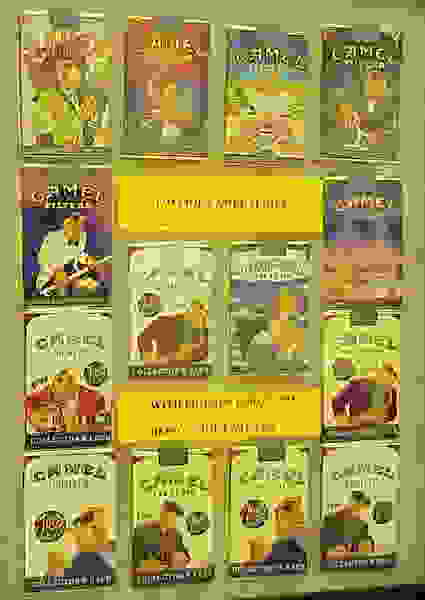 Vintage Joe Camel Series Cigarette Packs