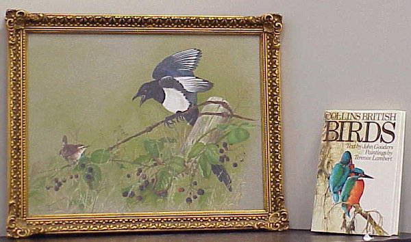 W/c Gouache, Terrence Lambert