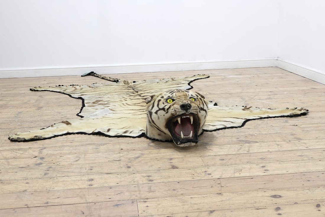 Bengal Tiger Skin Rug