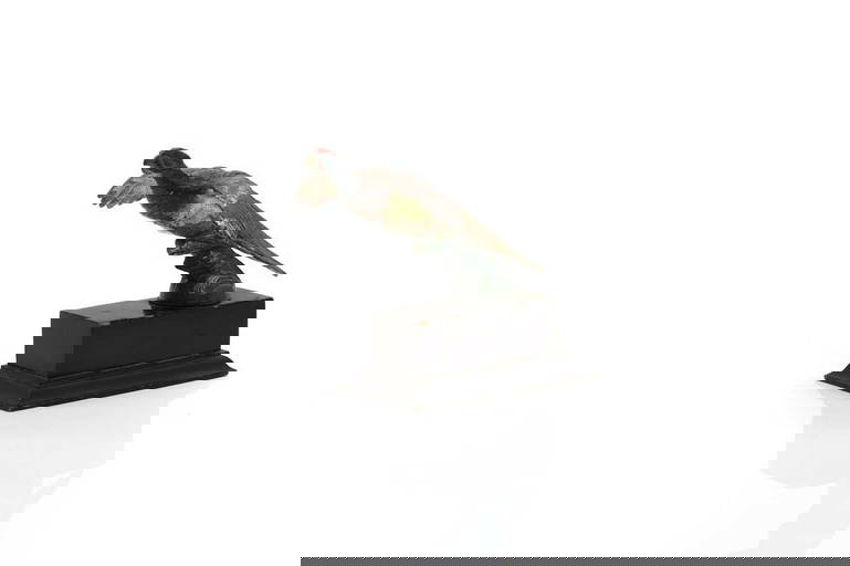 A Bronze 'flying Pheasant' Radiator Mascot,