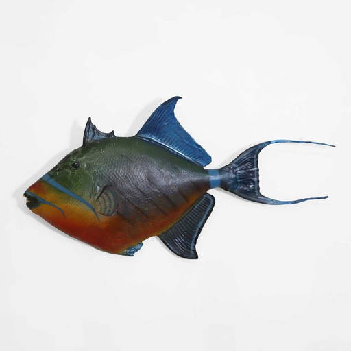 Taxidermy: A Triggerfish Fishing Trophy,