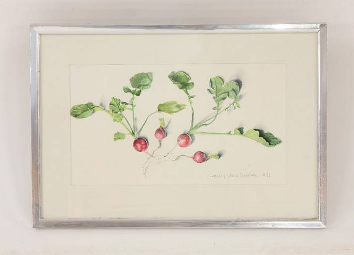 *harry More Gordon (b.1928), Radishes Signed And Dated