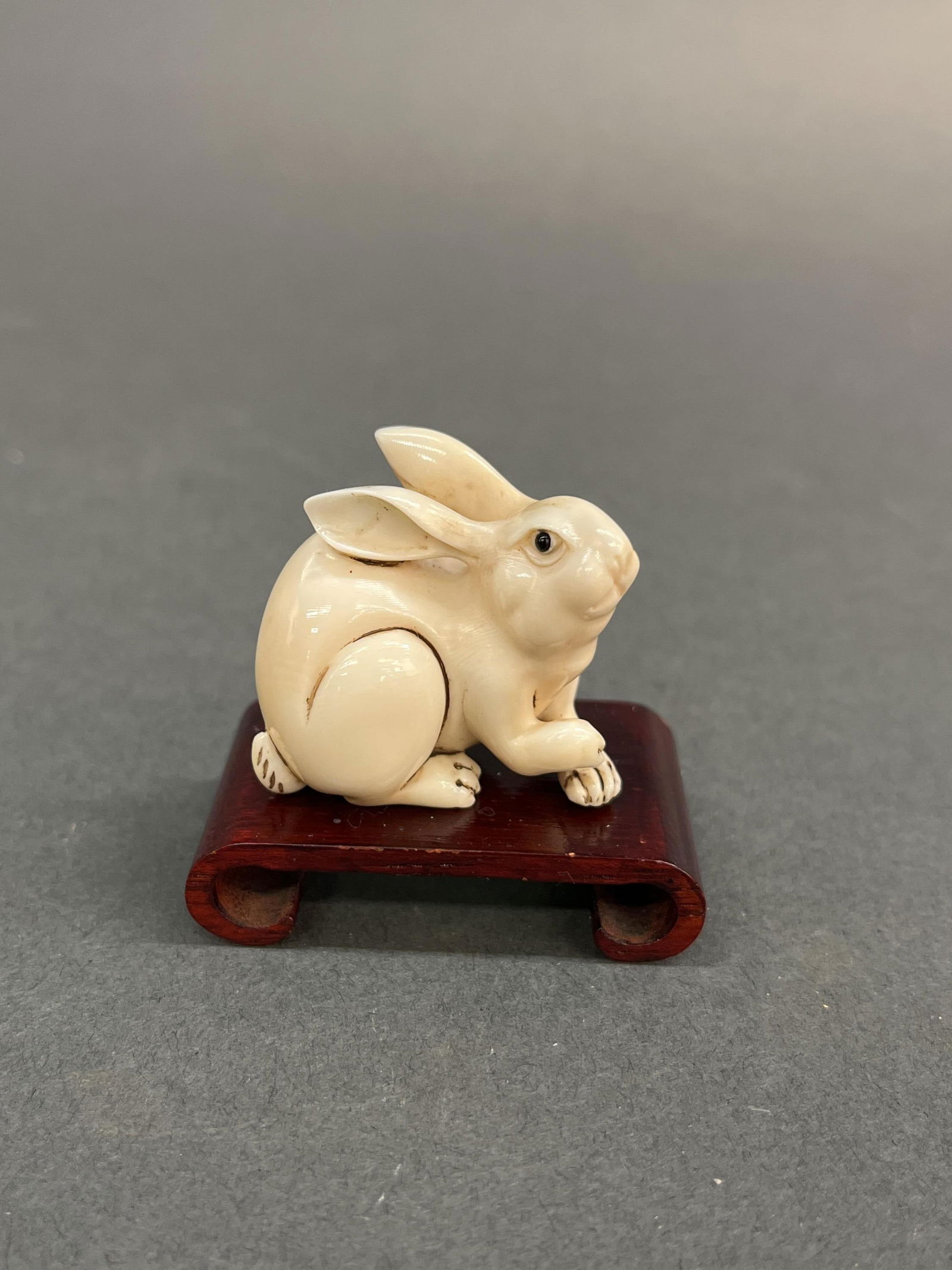 Ivory Rabbit Netsuke.