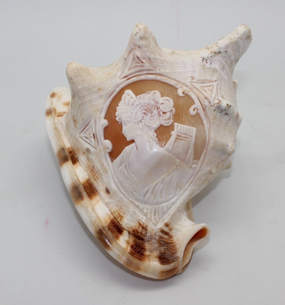CONCH SHELL CARVING