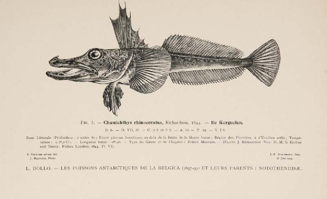 Dollo, Louis Poissons (= Expédition antarctique Belge.