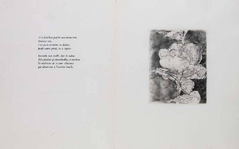 Rainer Maria Rilke Les Roses. Vingt Cinq Eaux Fortes De