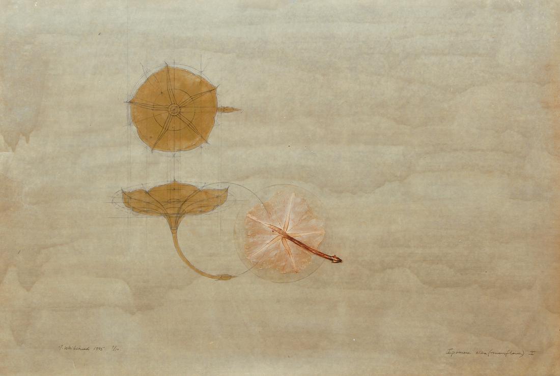 Frances Whitehead Mixed Media Signed - Jun 27, 2020 | Concept Art ...