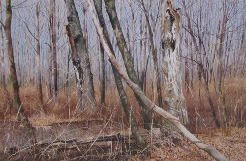 51: Charlie Pitcher Birch Trees Landscape watercolor - May 09, 2009 ...