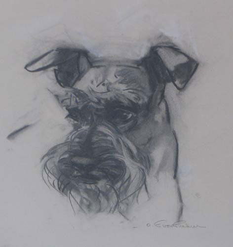 782: Ottmar Von Fuehrer dog drawing Schnauzer