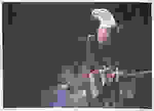 Mitchell D. Tolle "abe And Old Glory" Limited Edit