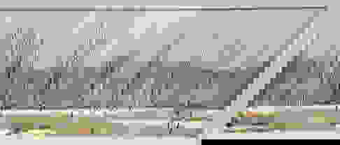 Charlie Pitcher The Cut 1990 Oil On Canvas Auction