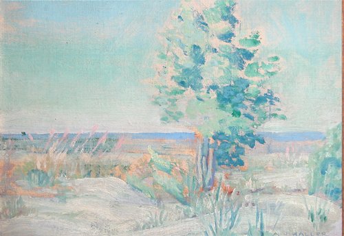 91: Alfred J. Haller Landscape - May 13, 2006 | Concept Art Gallery in PA