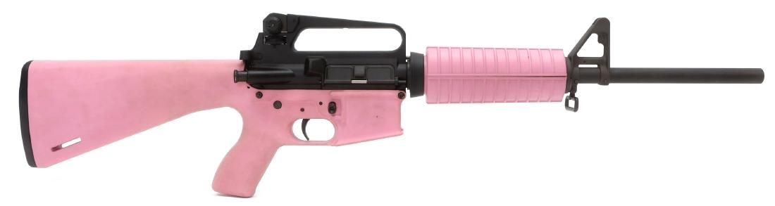 Cavalry Arms Model Cav 15 Mkii .223 Rem Rifle