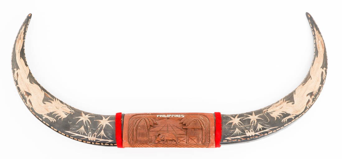 Filipino Carabao Horn Display